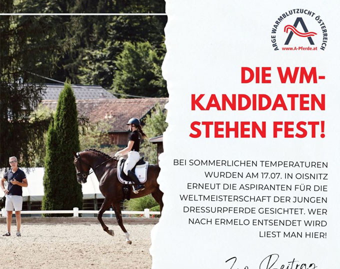 Austrian Horses Selected for 2024 World Young Horse Championships