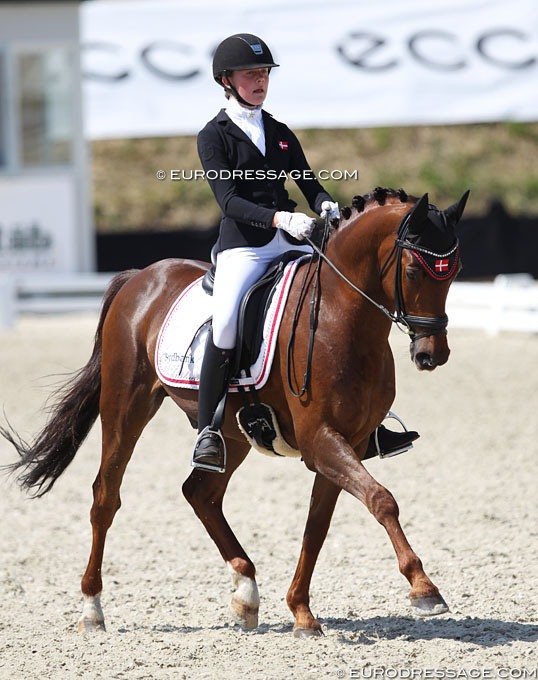 Danish FEI Pony Campari W Retired from Sport