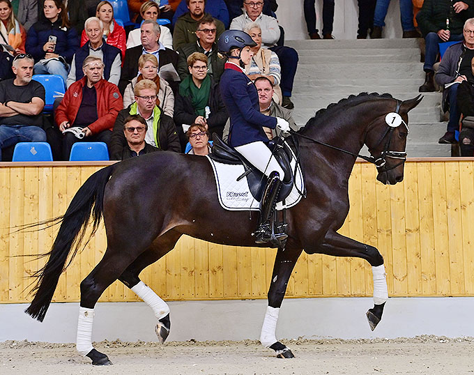 Six-Figure Prices for Supernova and For Diamond at 2024 Oldenburg ...