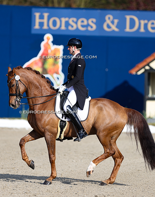 Estero, New Grand Prix Ride for Former U.S. Team Rider Shelly Francis