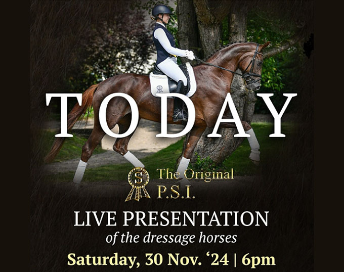 TODAY — Live Presentation of the P.S.I. Dressage Collection at 18h00