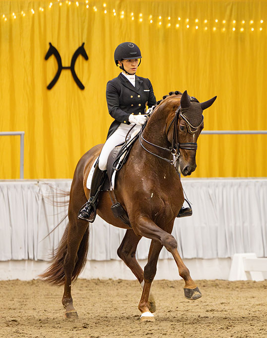 World YH Champion Life Time FRH Withdrawn from 2024 Nurnberger ...