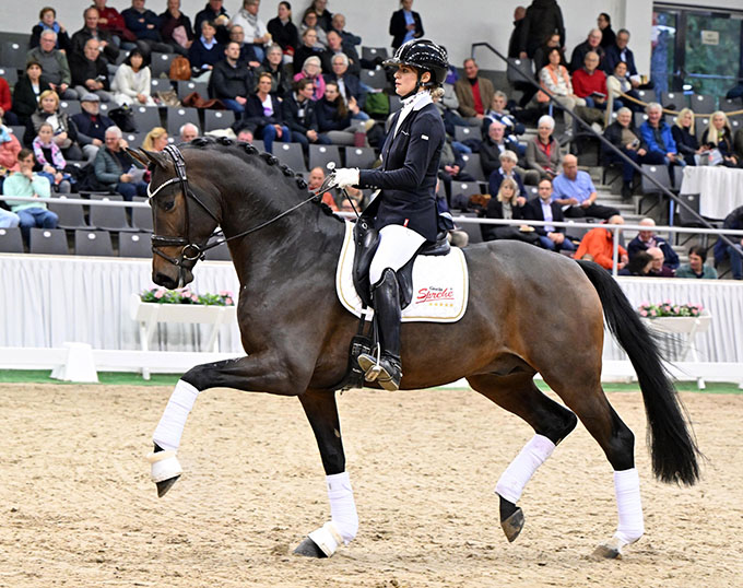 Sir Gribaldi, High Scorer of the 2025 Munster Stallion Sport Test