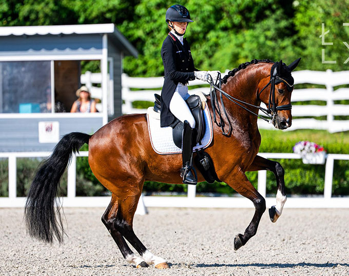 Ferati, 2023 German Young Riders Team Horse, Sold to Asia