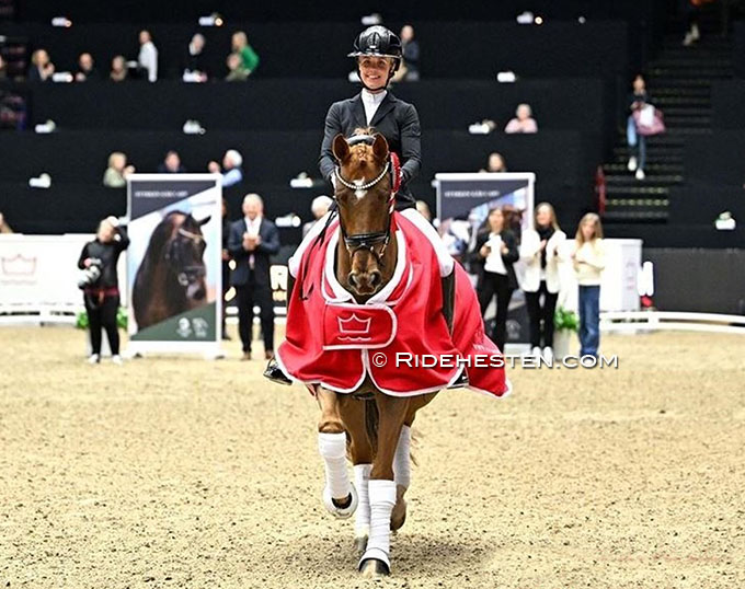 Atterupgaards Daimi Wins 2025 Danish Warmblood Young Horse ...