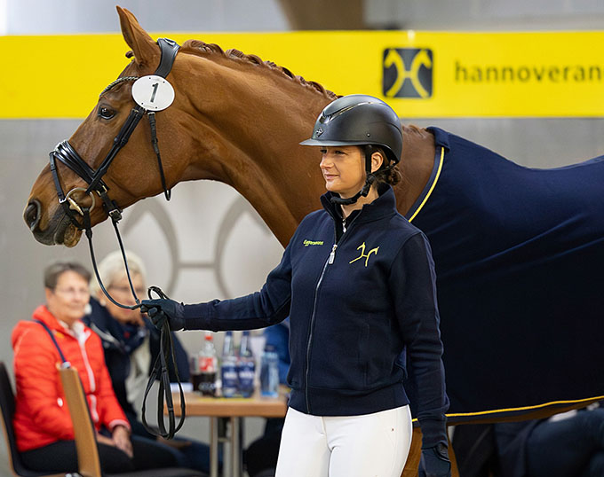 Vision, Price Highlight of the 2025 Hanoverian High Level Auction