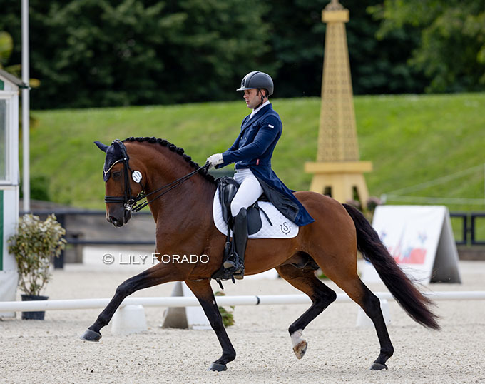 Saddle Up for the 2025 CDI Jardy Where Elegance, Passion and Precision ...