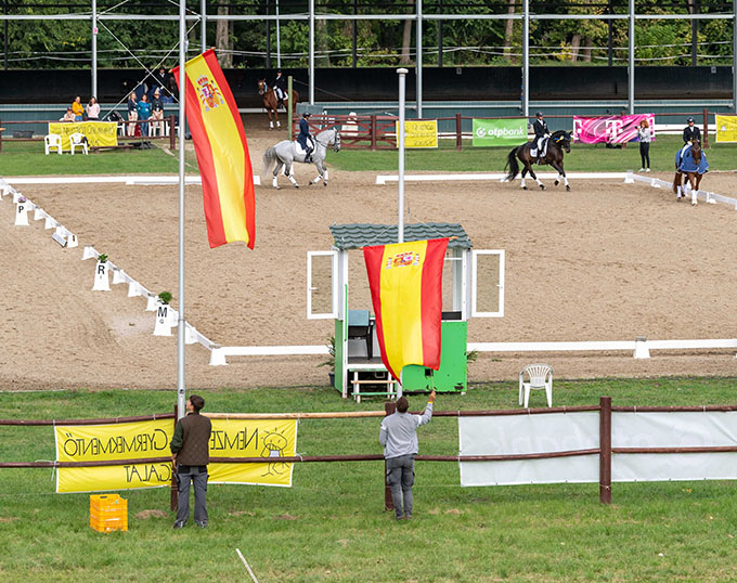 International Dressage Stars to Gather in the Heart of Hungary: CDI-W ...
