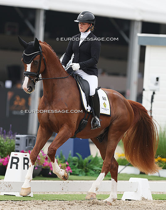 Hpnotiq MJ, Swedish WCYH Team Horse, Sold to Germany as Junior Hopeful