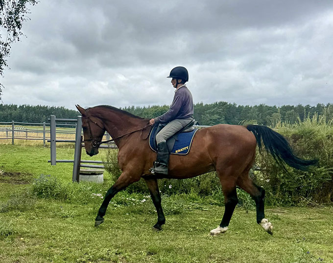 Swedish Olympian Ulla Hakanson (88) Hacking Former International Jumper