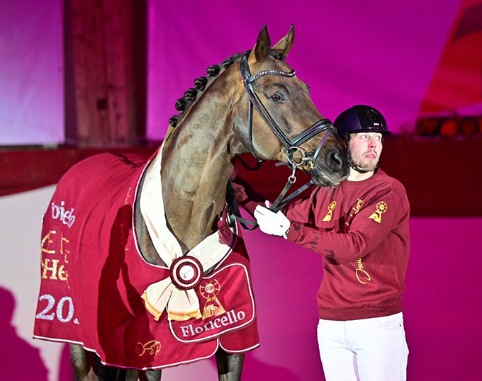 DSP Proclaims Floricello Elite Stallion