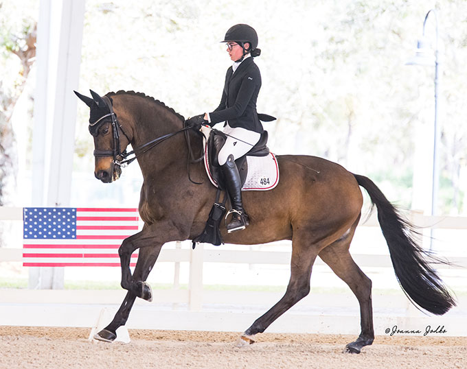 Jill Irving's Arthur Takes his Professorship Seriously, Young Rider ...