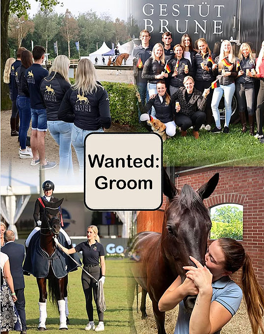 Groom Wanted to Join the Team at Gestüt Brune