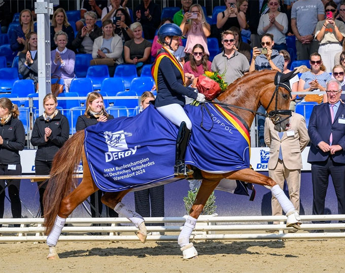 Sina Aringer Invited as Test Rider for 2026 Swedish Warmblood Young ...