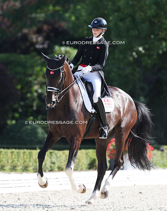 Sparaday Matched with New Danish Under 25 Rider