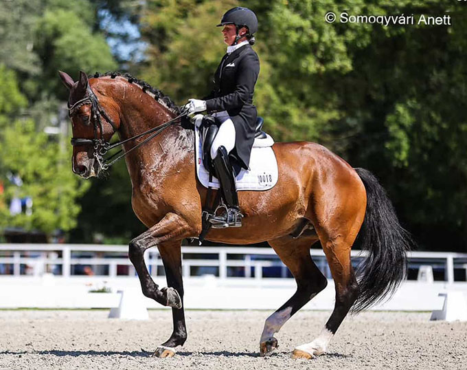 Hungary Sends Two Individuals to 2026 World Championships Dressage