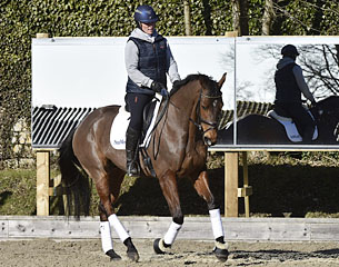 Arena Mirrors: Add These to Your Facilities! Order Now and get a ...