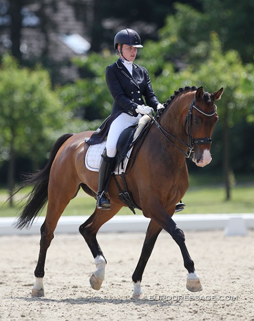 Former Dutch Youth Rider Kaylee Gouda Sells Don Juan to California
