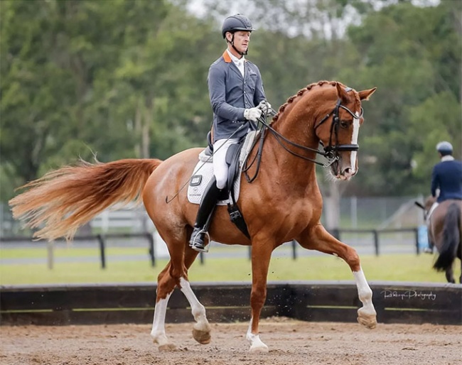 Brett Parbery Loses ride on Terry Snow's Grand Prix Hopeful, Spot On