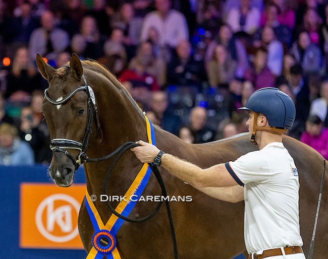 Seven Colts Named Premium at the 2023 KWPN Stallion Licensing