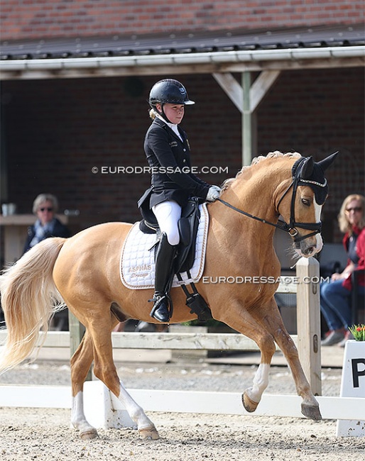 Swedish Team Selected for 2023 European Pony Championships